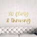 30th Birthday Decorations, 30 Flirty and Thriving Banner, 30th Birthday ...