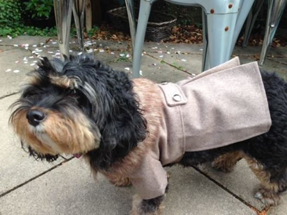 Classic Wool Dog Coat With Faux Fur Trim - Etsy