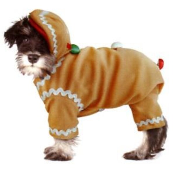 Gingerbread Costume - Etsy