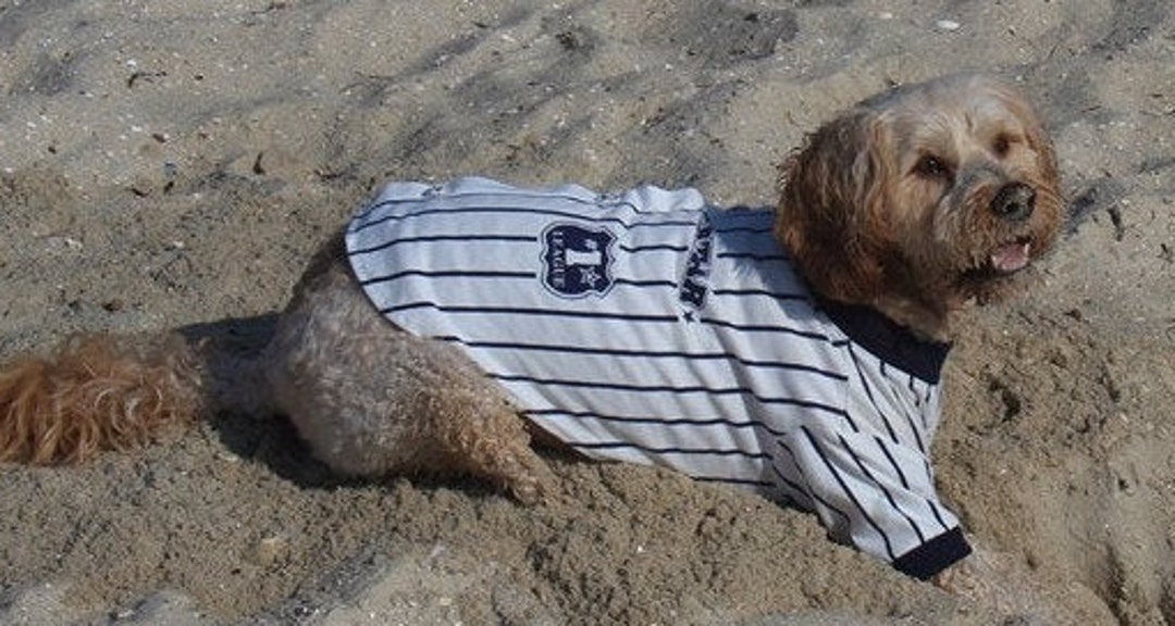 All Star Baseball Dog Shirt Small 25cm Xxxlarge 50cm, Cotton, for Your ...