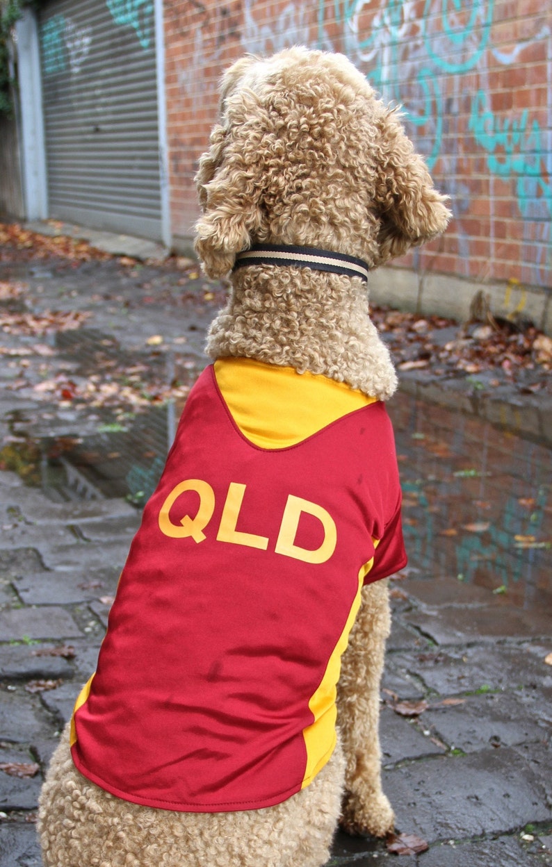 QLD Maroons Dog Shirt Jersey for Xsmall 20cm to Xxxl 50cm Dogs - Etsy