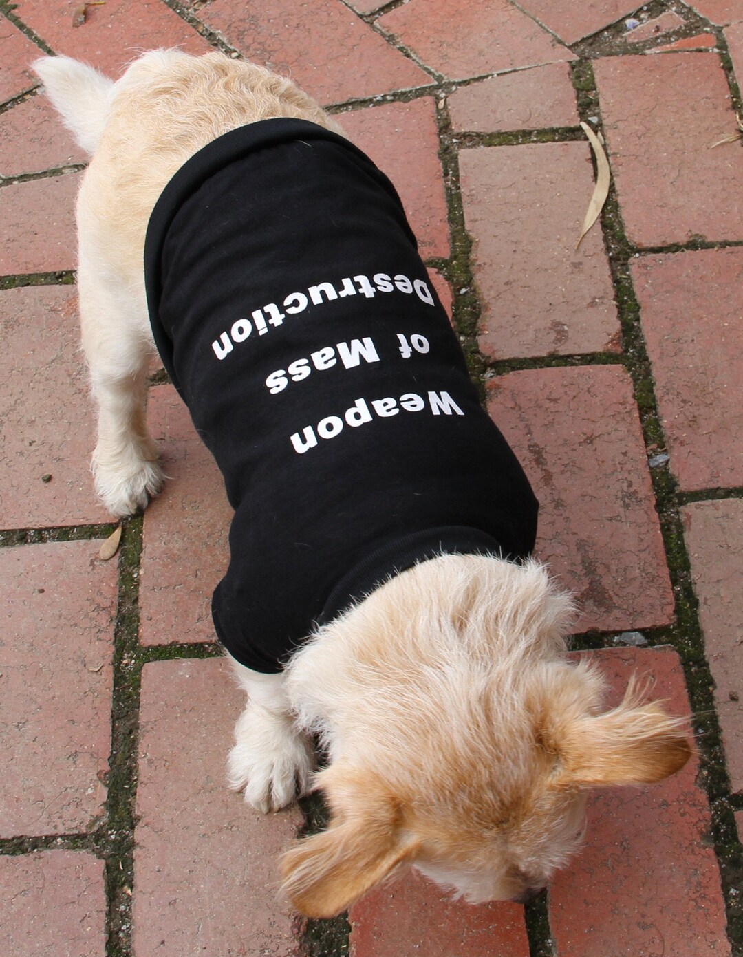 Weapon of Mass Destruction Dog Shirt, Novelty Pet Costume for Small to ...