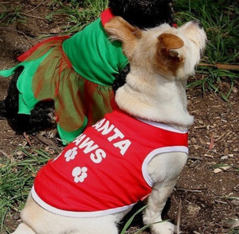 Santa Paws Christmas Dog Singlet Costume, Cotton, Xsmall to Xxlarge ...
