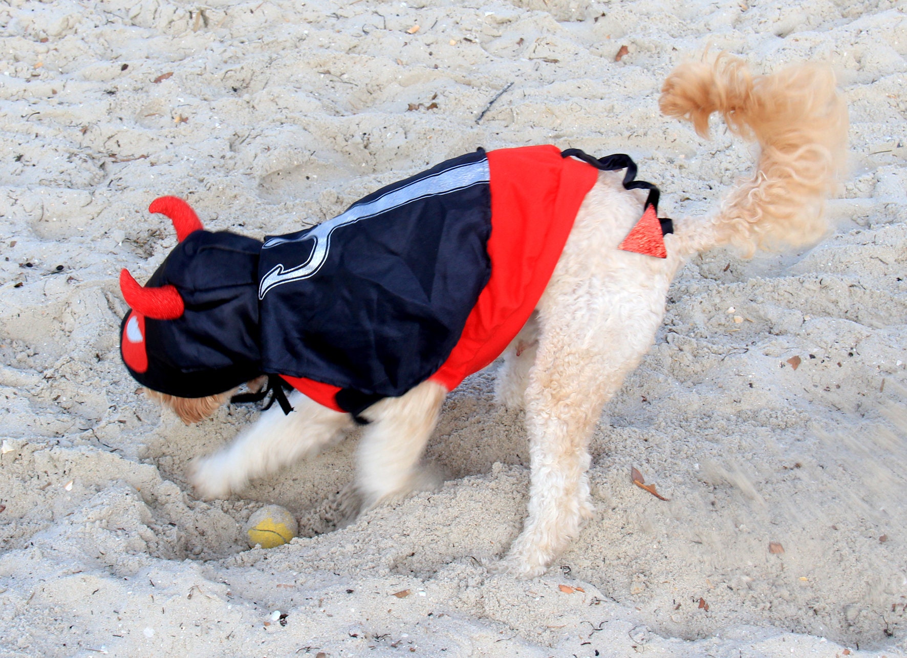 Little Devil Halloween Dog Costume With Cape and Horns. 40cm Length ... Little Devil Halloween Dog Costume With Cape and Horns. 40cm Length ...