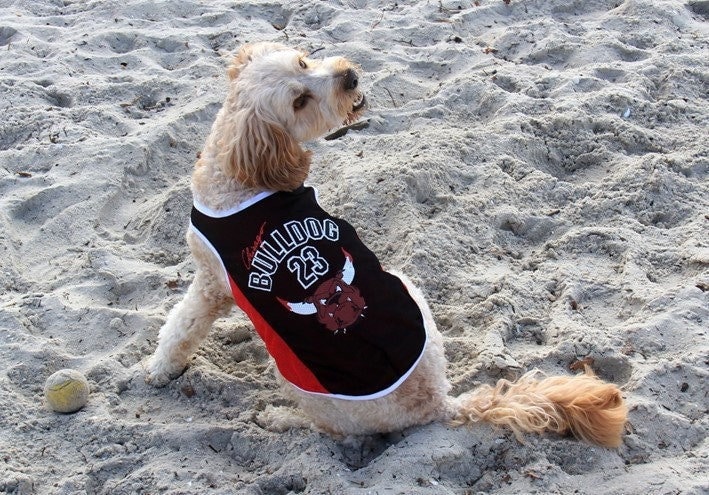 Bulldogs Basketball Dog Singlet for Xsmall 20cm to Medium 30cm Breeds ...