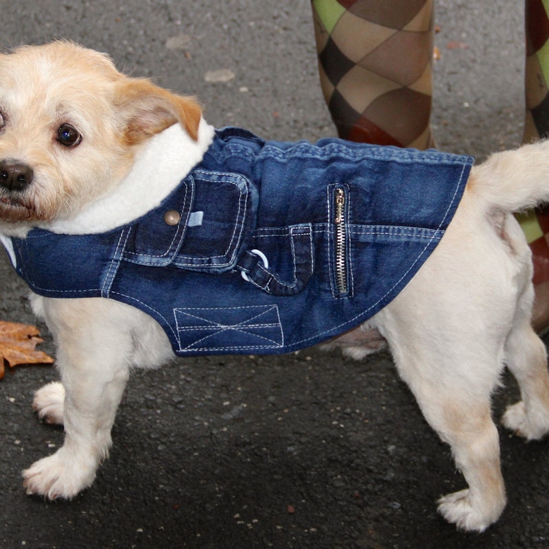 Denim Dog Jacket - Etsy