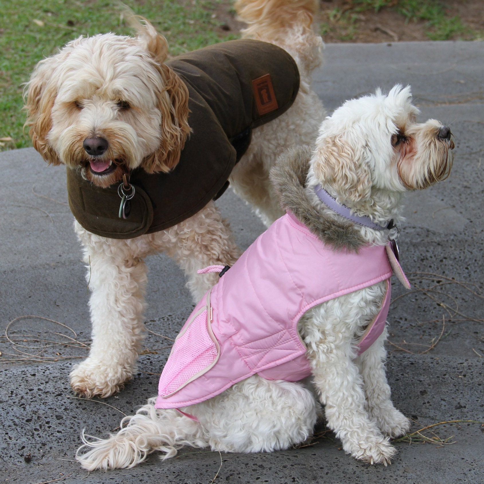 Waterproof Hunting Dog Coat With Faux Fur Trim and Fleece Lining for ...