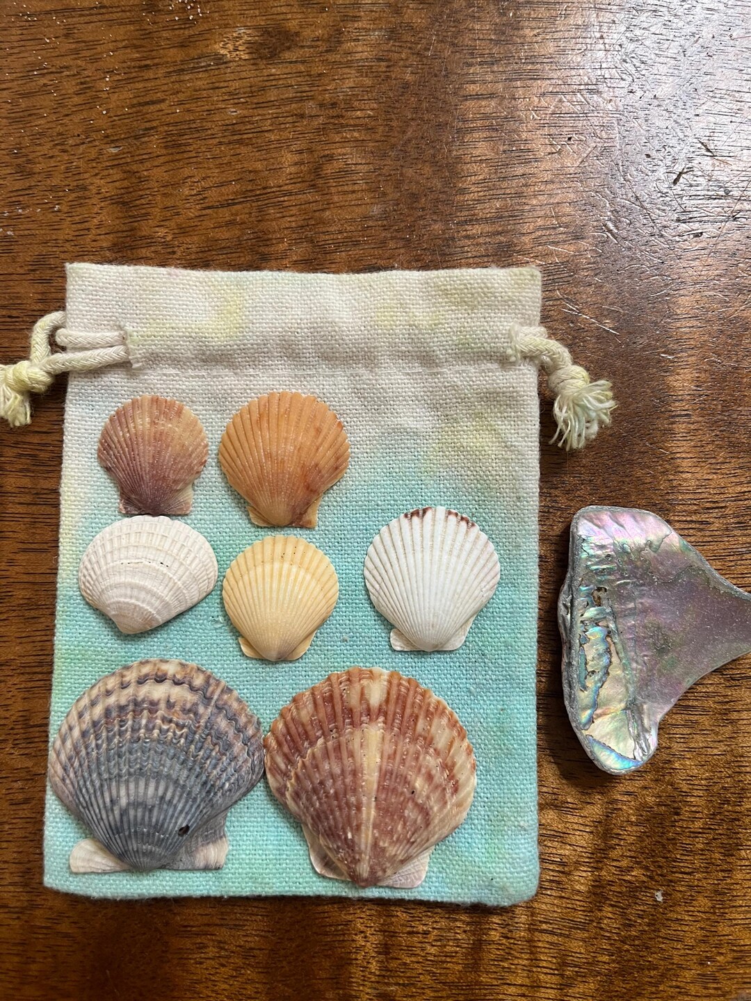 Seashells,crystals, Beach Seashells, Small Scallop Shells, Abalone, Seashell Collections ...