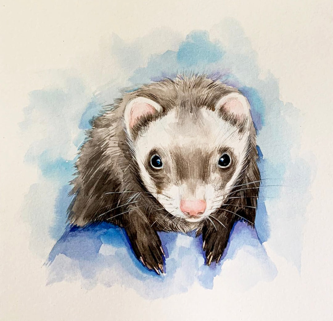 HAND-PAINTED Custom Ferret Portrait, Ferret Painting, Hand-painted ...