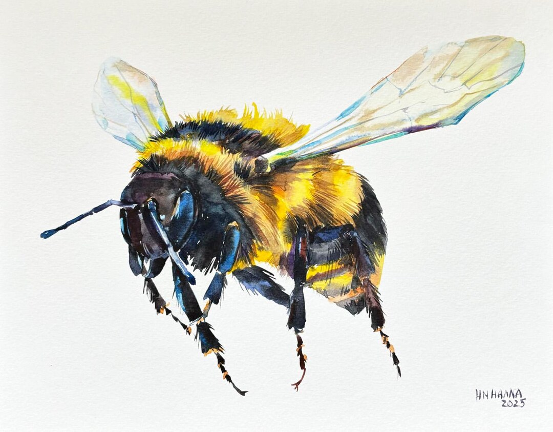 Bumblebee Flying, Insect Bee Painting, Bumblebee Drawing, Bee ...