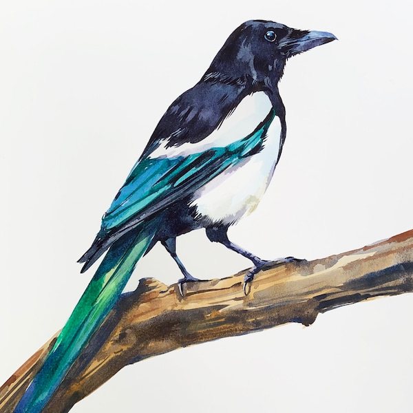 Magpie Art - Etsy