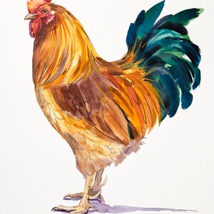 Commission Chicken Portrait, Custom Hen Painting, Rooster Drawing ...