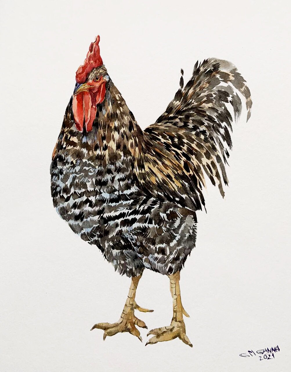 Custom Hen Portrait Custom Chicken Portrait Custom Rooster - Etsy
