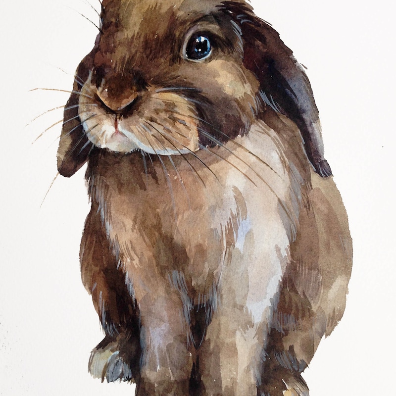 Bunny Portrait - Etsy