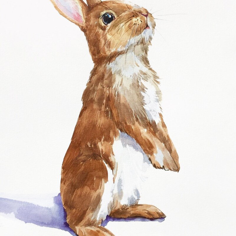 Painted Bunny - Etsy