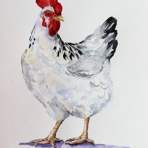 Commission Chicken Portrait,custom Hen Painting,rooster Drawing,chicken ...