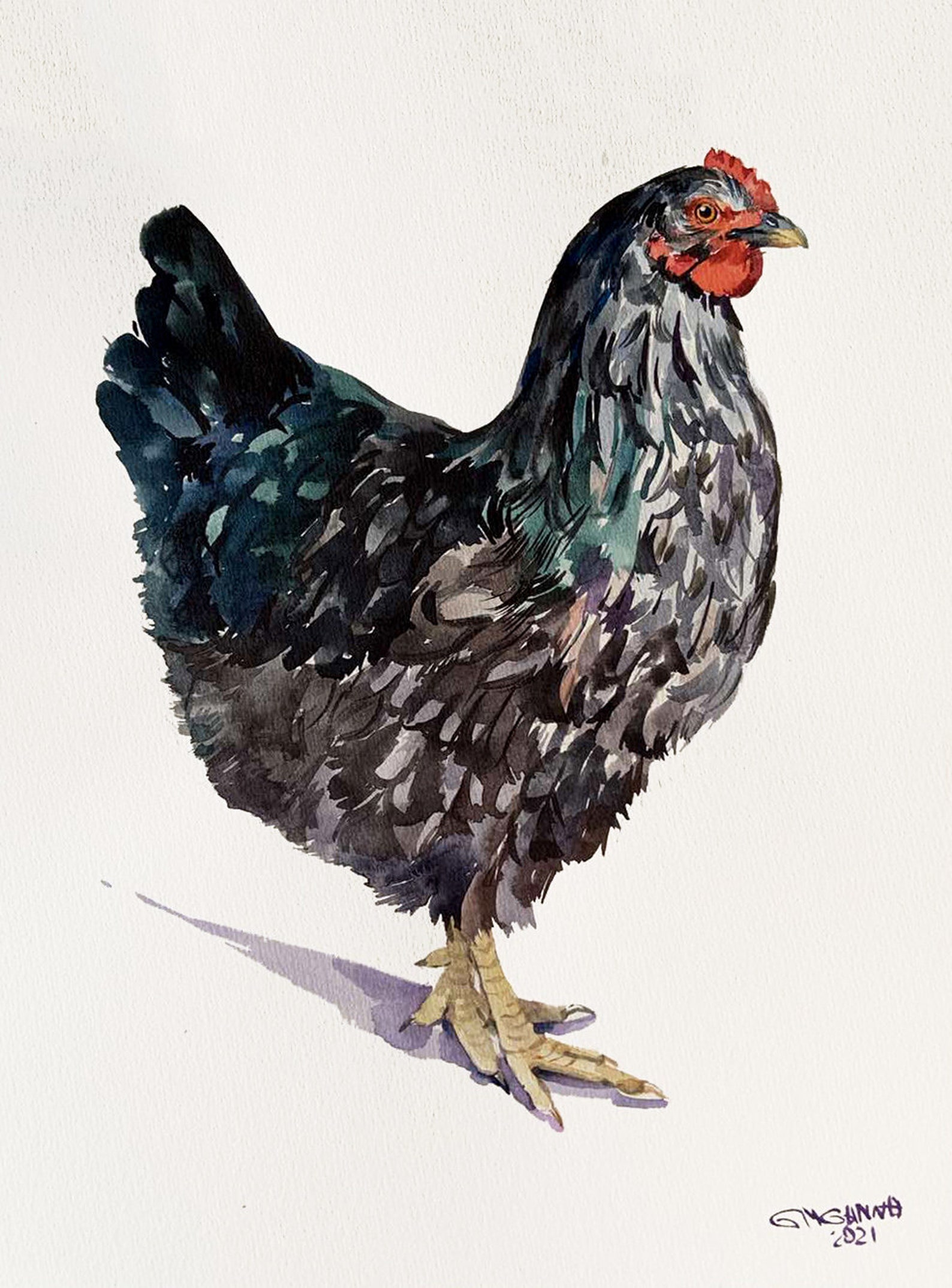Custom Hen Portrait Custom Chicken Portrait Custom Rooster - Etsy