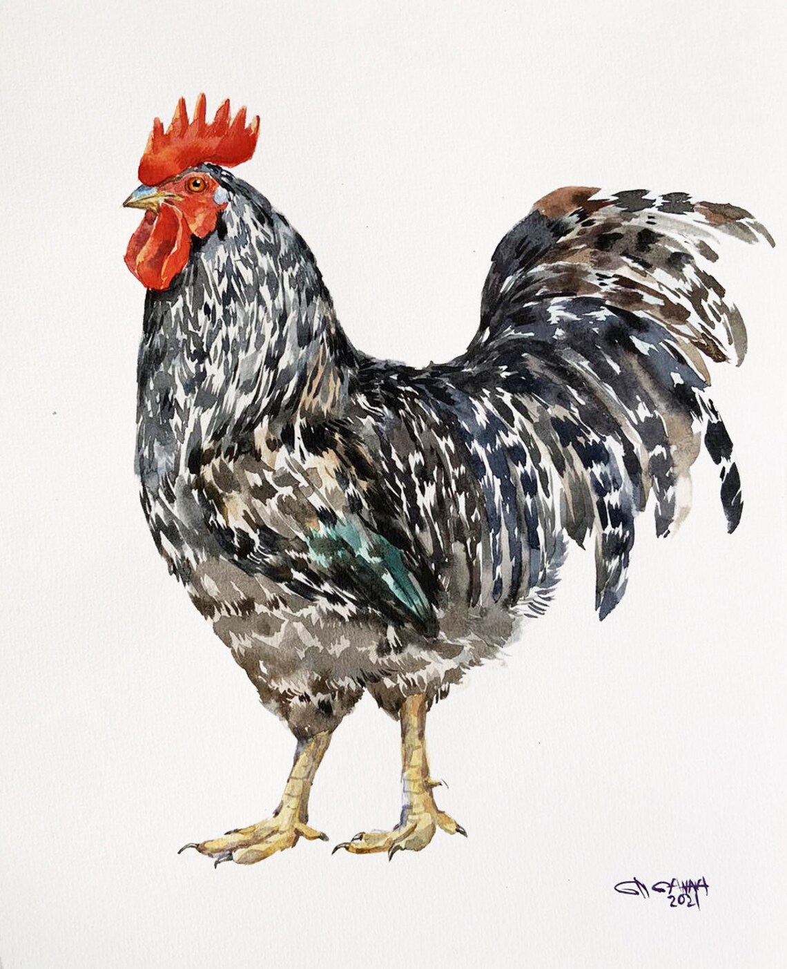 Custom Hen Portrait Custom Chicken Portrait Custom Rooster - Etsy