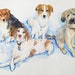 Multiple Pet Portraits, Custom Dog Portraits, Custom Pet Portraits ...