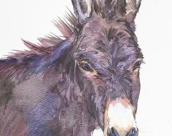 Donkey Watercolor Painting, Art, Animal, Illustration, Home Decor, Wall ...