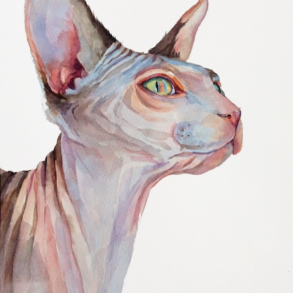 Sphynx Cat Art - Etsy