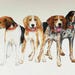 Multiple Pet Portraits, Custom Dog Portraits, Custom Pet Portraits ...