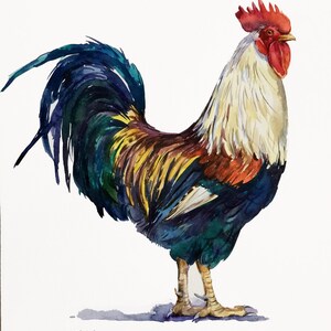 Commission Chicken Portrait,custom Hen Painting,rooster Drawing,chicken ...