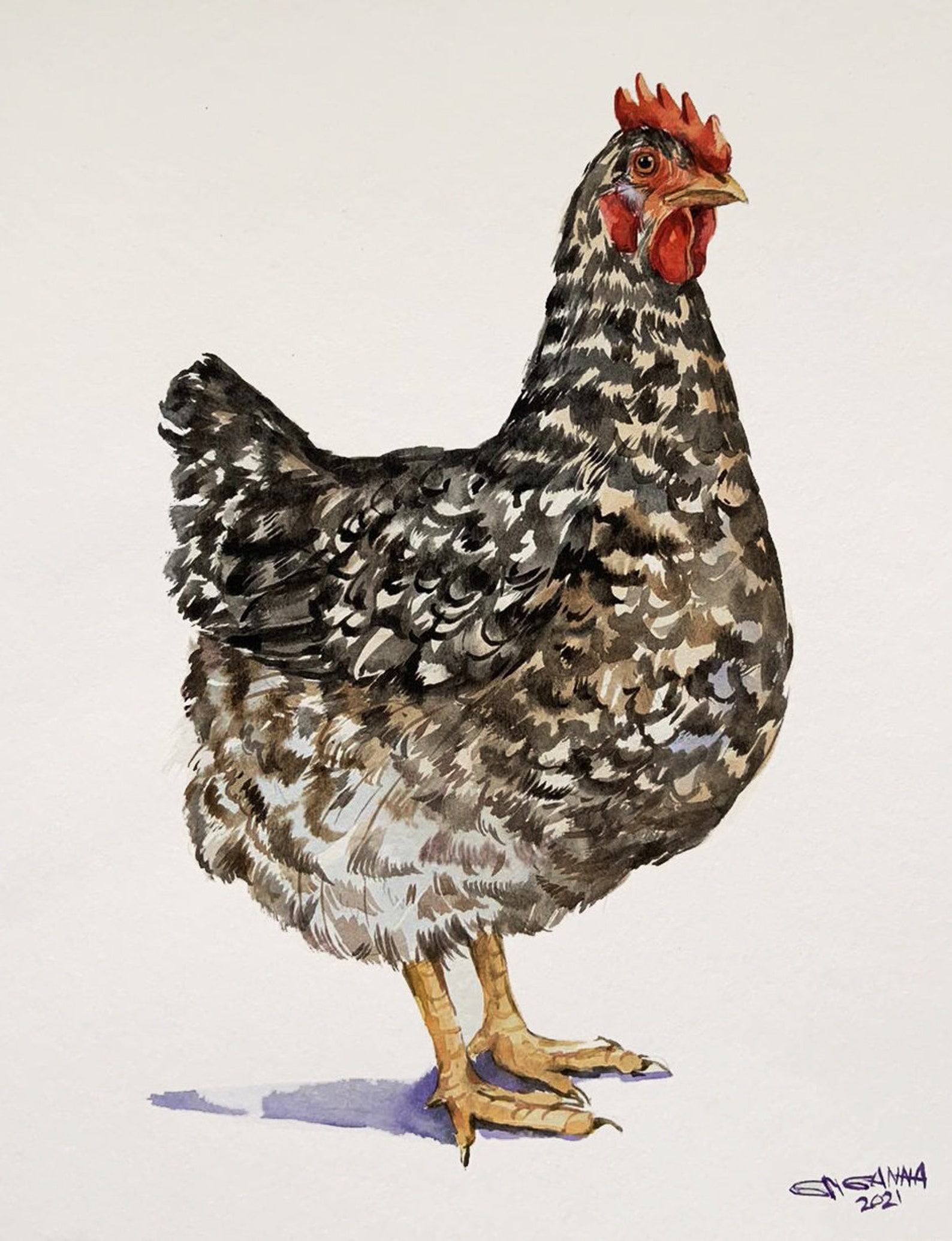 Custom Hen Portrait Custom Chicken Portrait Custom Rooster - Etsy