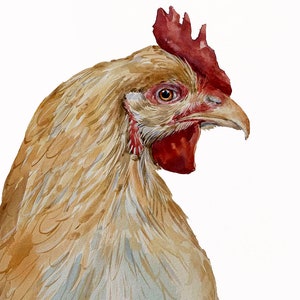 Custom Hen Portrait, Custom Chicken Portrait, Custom Rooster Painting ...