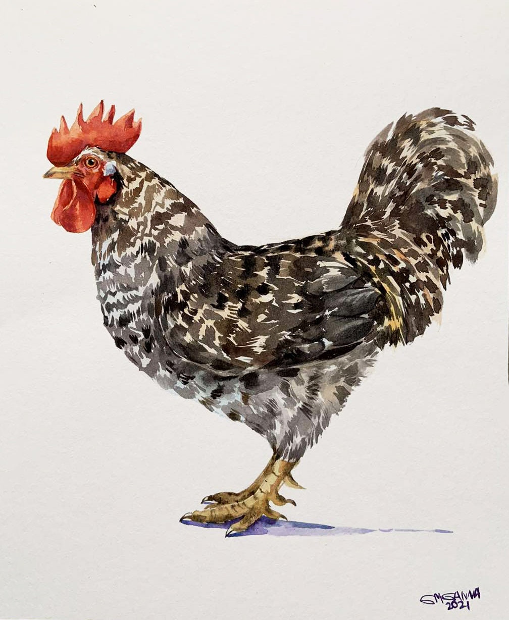 Custom Hen Portrait Custom Chicken Portrait Custom Rooster - Etsy