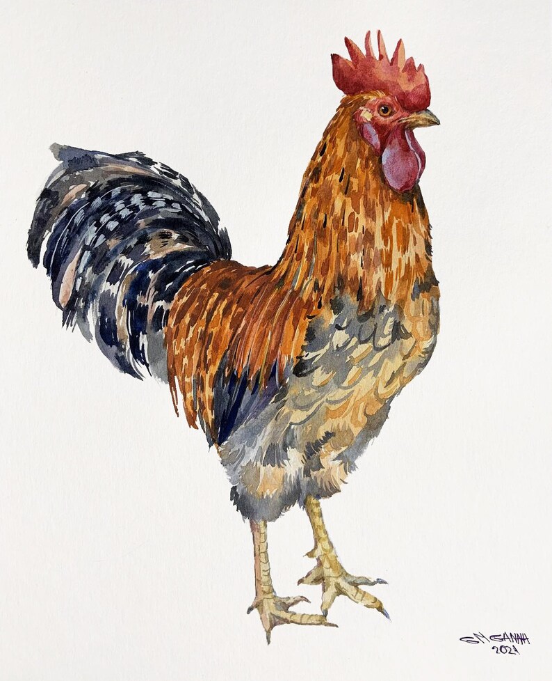 Custom Hen Portrait Custom Chicken Portrait Custom Rooster - Etsy