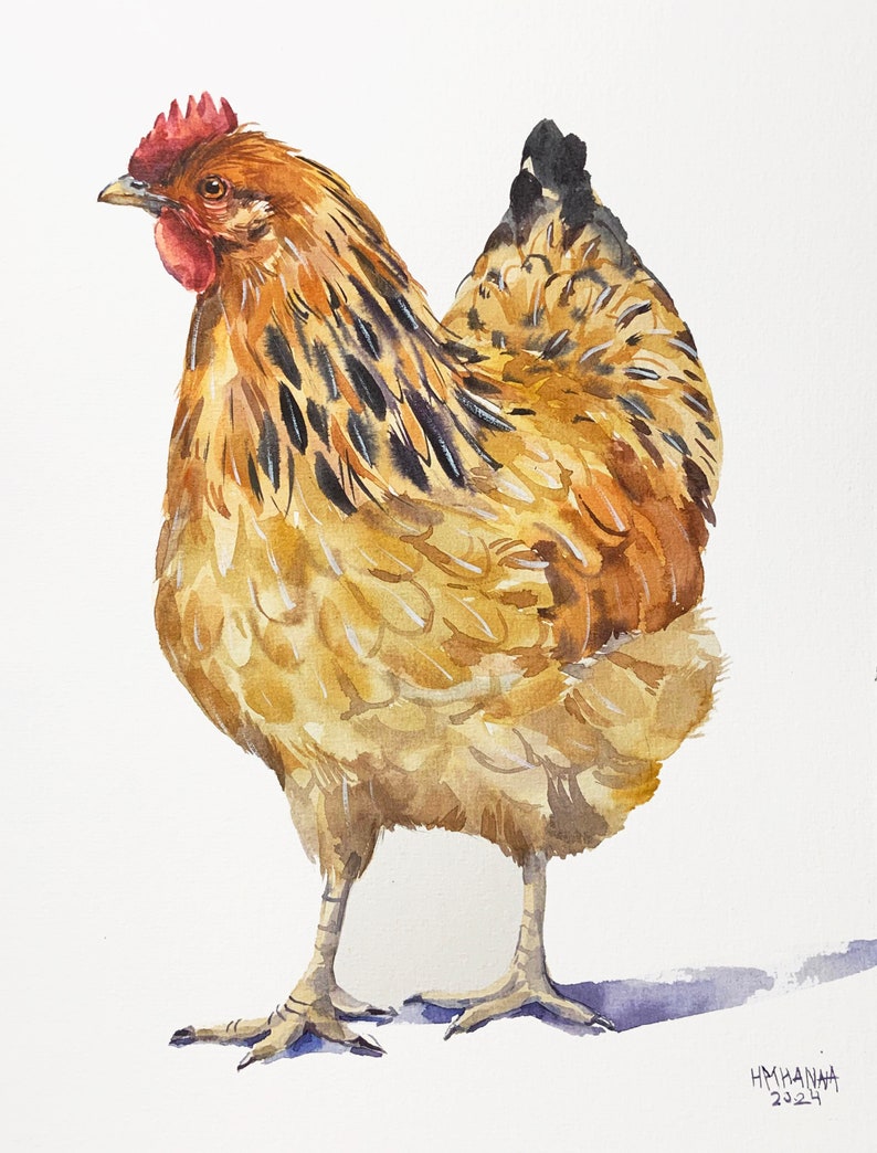 Custom Chicken Portrait, Hand-painted Watercolor Hen, Rooster Art, Farm ...