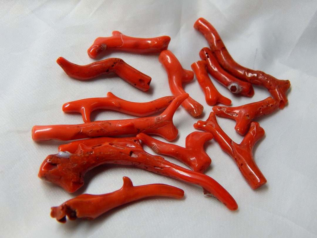14 Pieces Italian Red Coral Polish Rough Natural Gemstone Beads ...