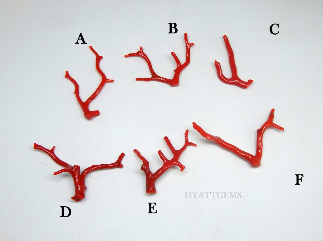 Italian Red Coral Polish Branch Natural Gemstone Beads Mediterranean ...