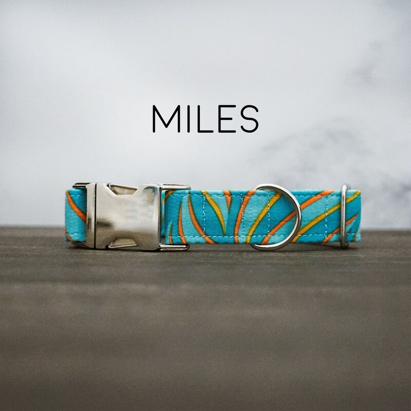 Turquoise Dog Collar - Etsy