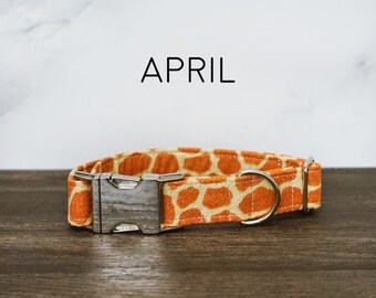 Giraffe Print Dog Collar by Swanky Pet - Etsy