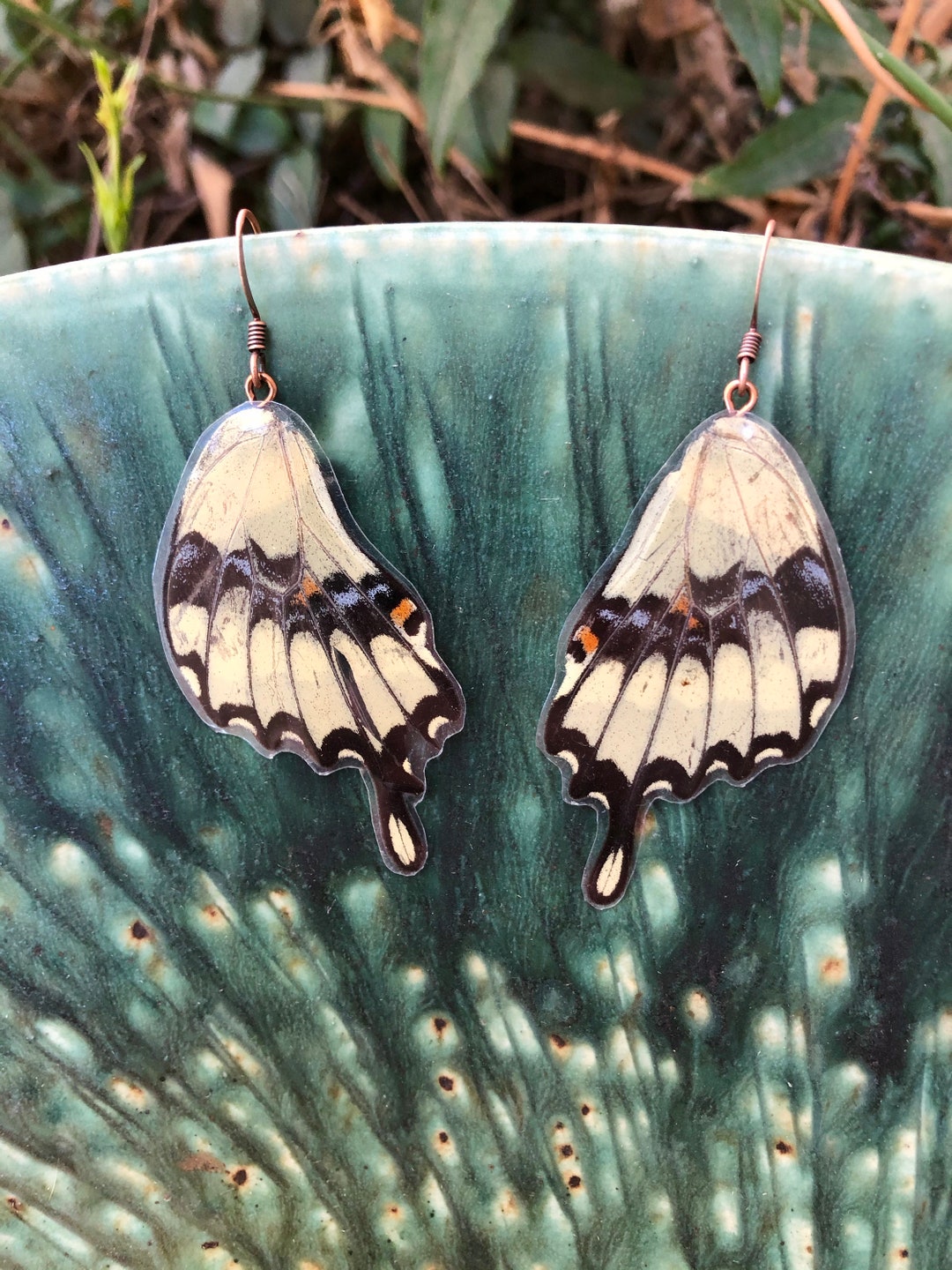 Anise Swallowtails - Etsy