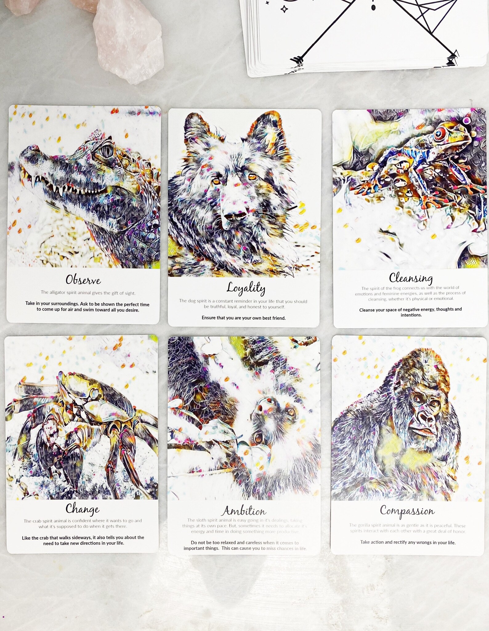 Spirit Animal Oracle Deck Special Edition Deck BONUS 6 Extra - Etsy