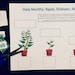 English Rajab Shabaan Ramadan Planting Activity, Kids Activity ...