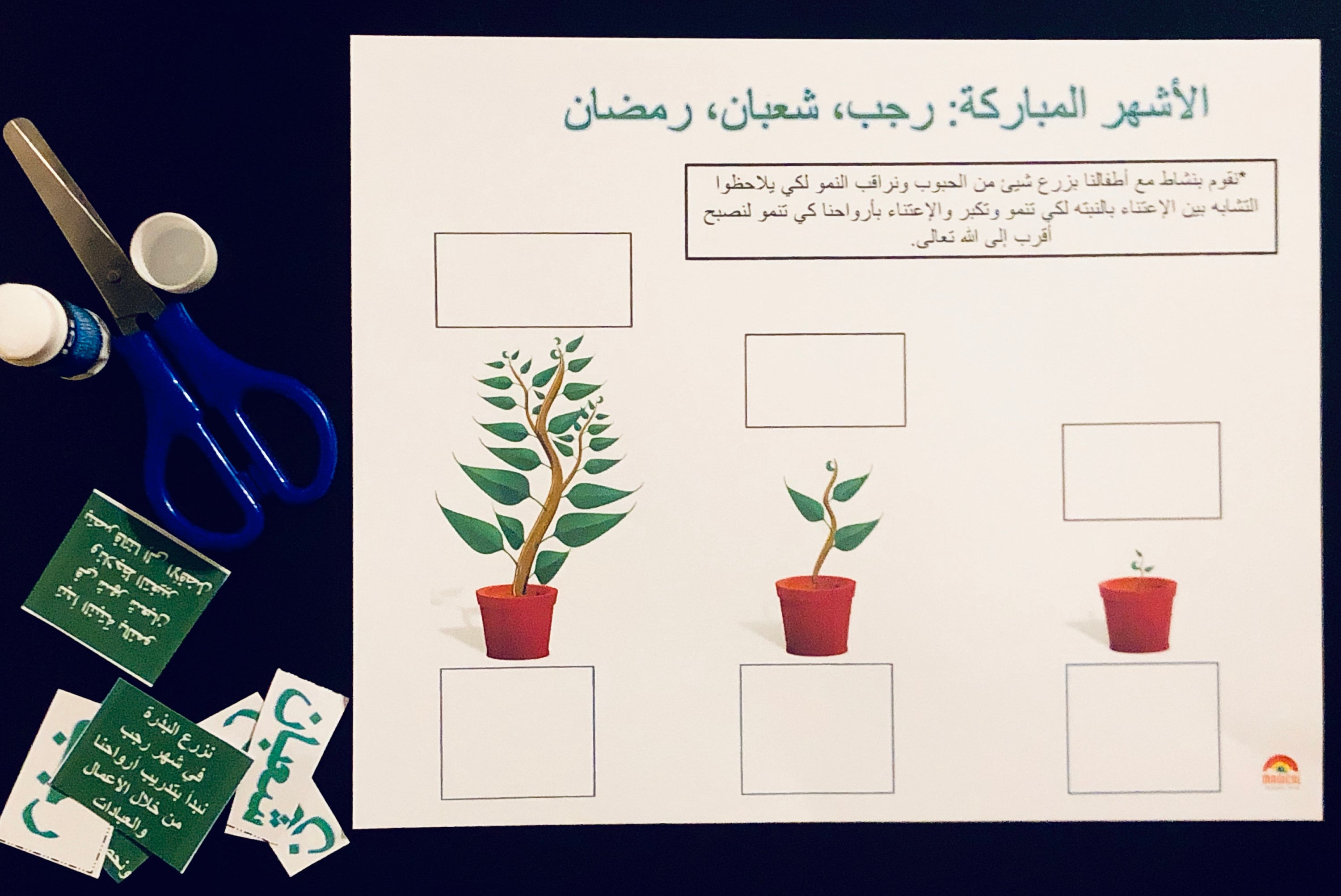 Arabic Rajab Shabaan Ramadan planting activity kids activity - Etsy España