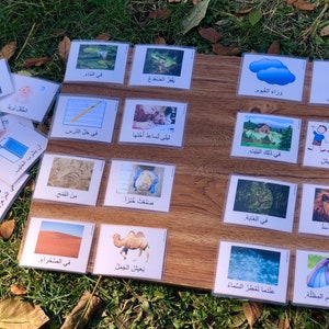 Arabic Matching Cards, Sentence Picture Matching, Arabic Learning, Eid ...