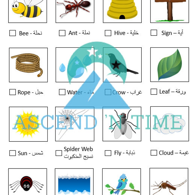 Quran Scavenger Hunt - Etsy