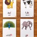 Arabic Alphabet Animal Flashcards, Arabic Arabic Flashcards Alphabet ...
