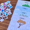 Match the Season Bundle, Four Seasons, Preschool Activity, Kids ...