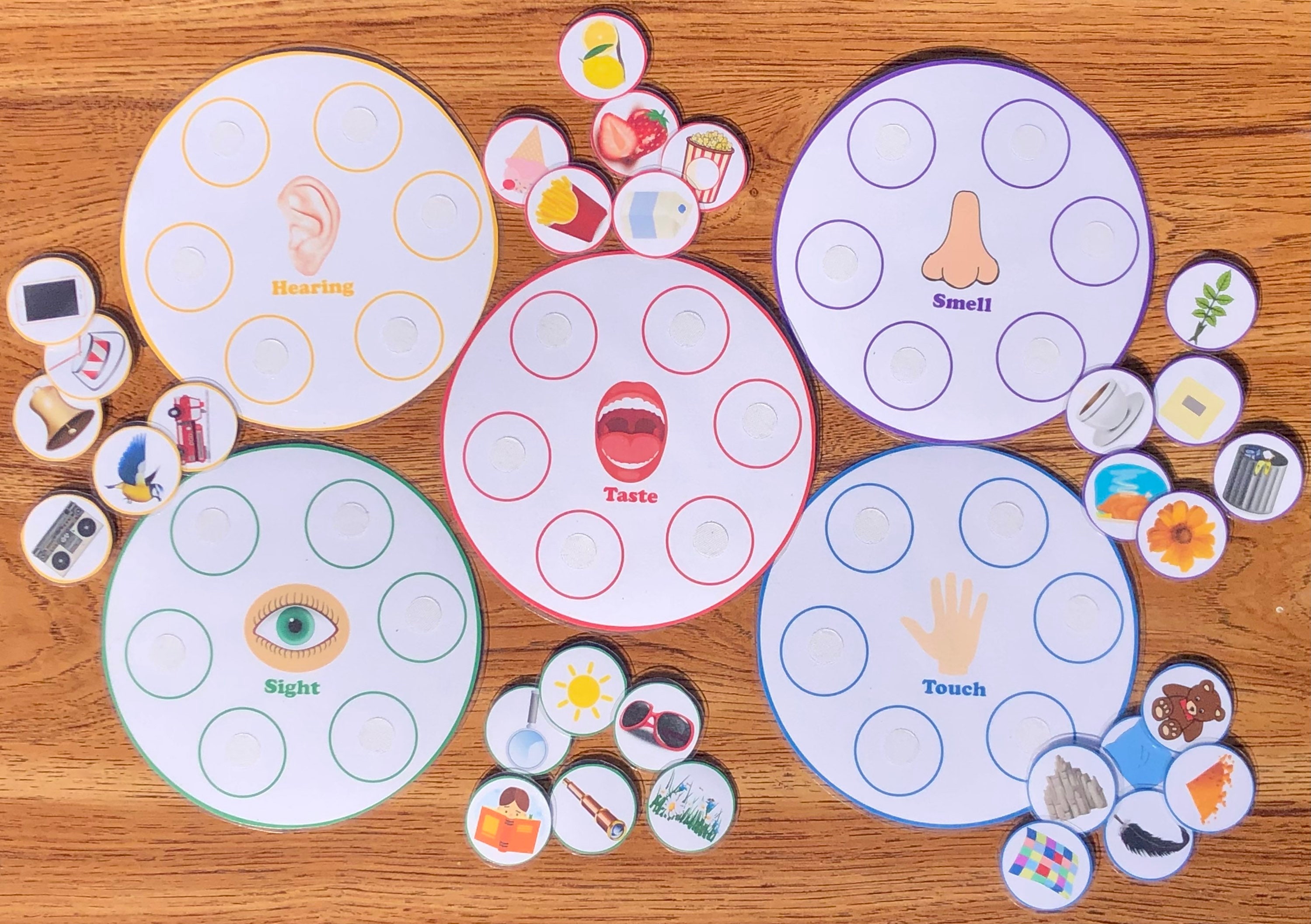 Senses Sorting Game, Preschool Game Senses Matching, Fine Motor Skills ...