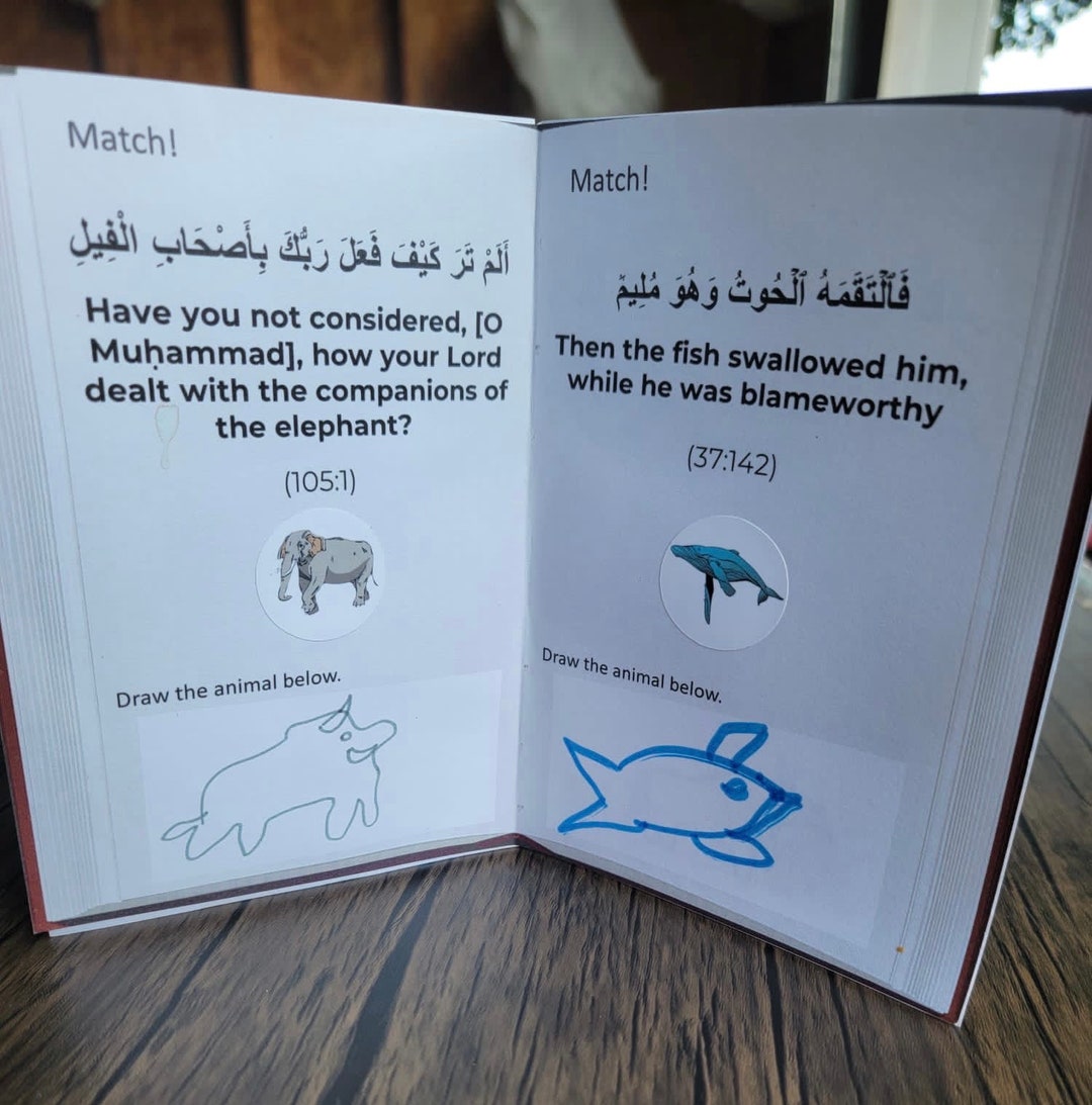 Quran Animal Book, Animal Quran, Stories of the Animals in Quran, Quran ...