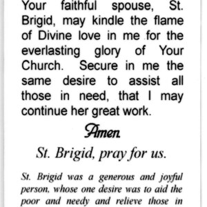 St. Brigid of Ireland - Relic Holy Card - Blessed by Pope Francis - Etsy
