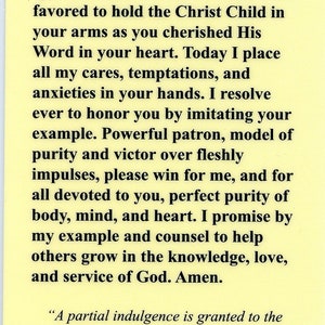 ST. ANTHONY - Relic Holy Card - Blessed by Pope Francis - Etsy