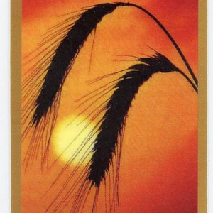 The Nicene Creed Funeral Memorial Laminated Prayer Cards - Pack of 60 ...