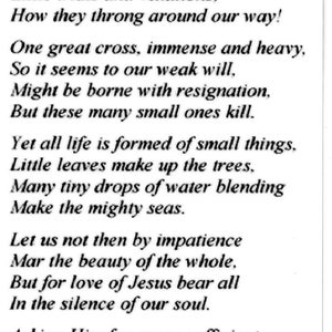 Splinters From the Cross - Holy Card - Prayer Card -pack of 25 - Etsy